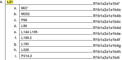 New Y DNA Haplogroup Naming Convention | DNAeXplained – Genetic Genealogy