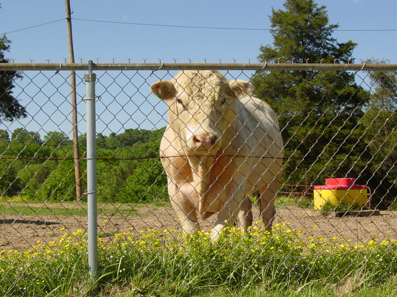 And A Dozen Things I Got Right | DNAeXplained – Genetic Genealogy