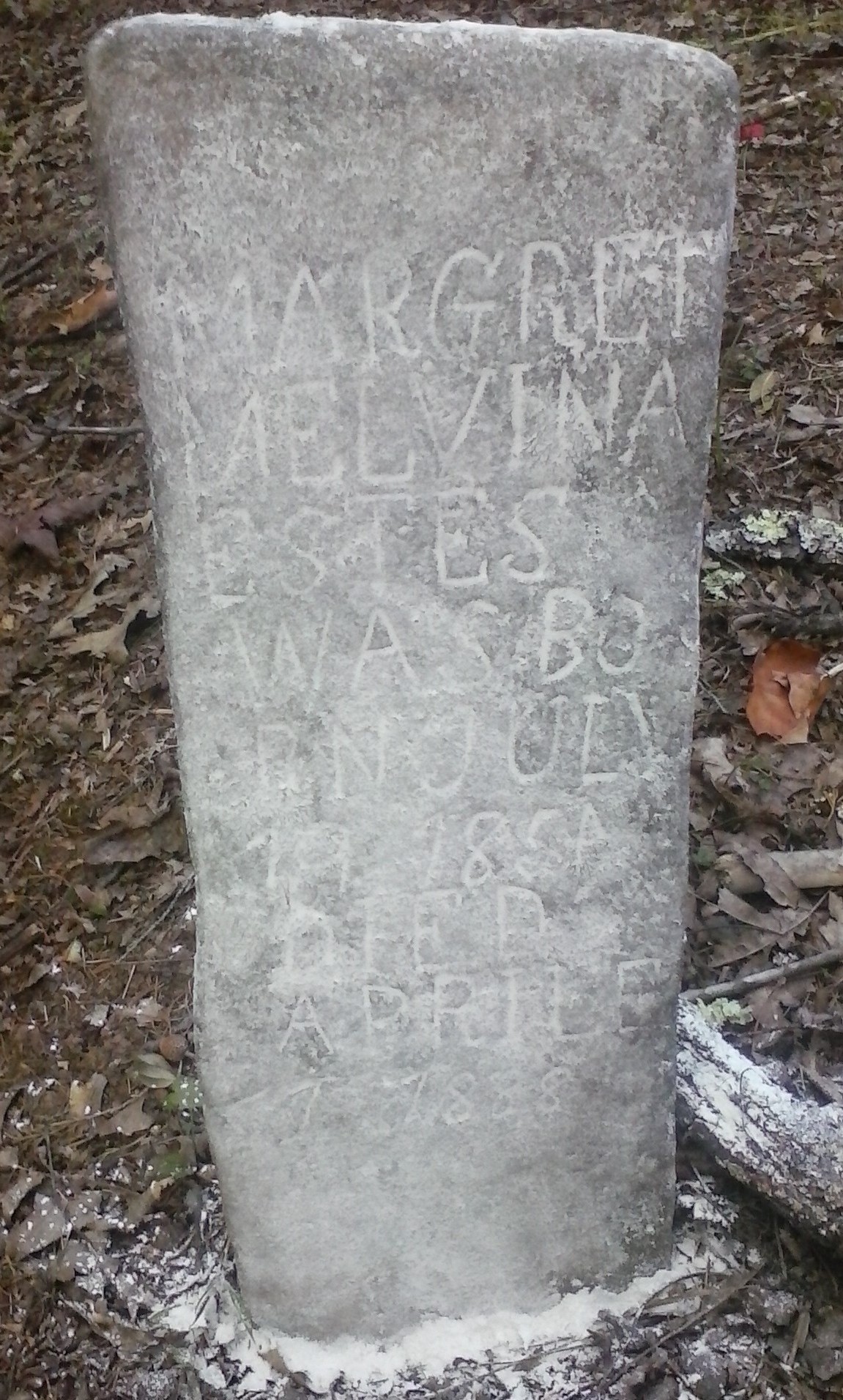 John Y. Estes (1818-1895), Civil War Soldier, Walked to Texas, Twice ...