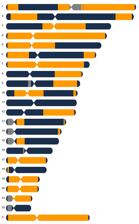 Concepts – DNA Recombination and Crossovers | DNAeXplained – Genetic ...