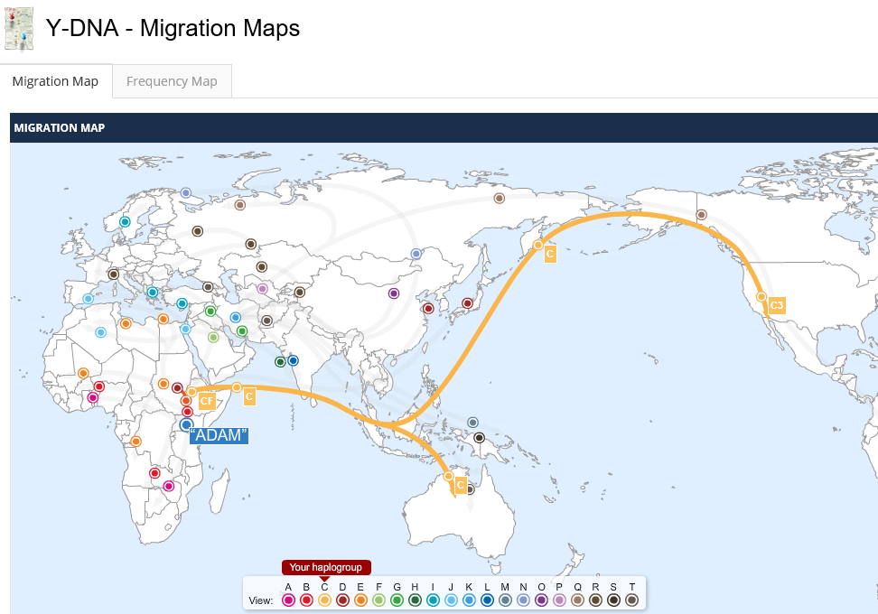 Y migration map | DNAeXplained – Genetic Genealogy
