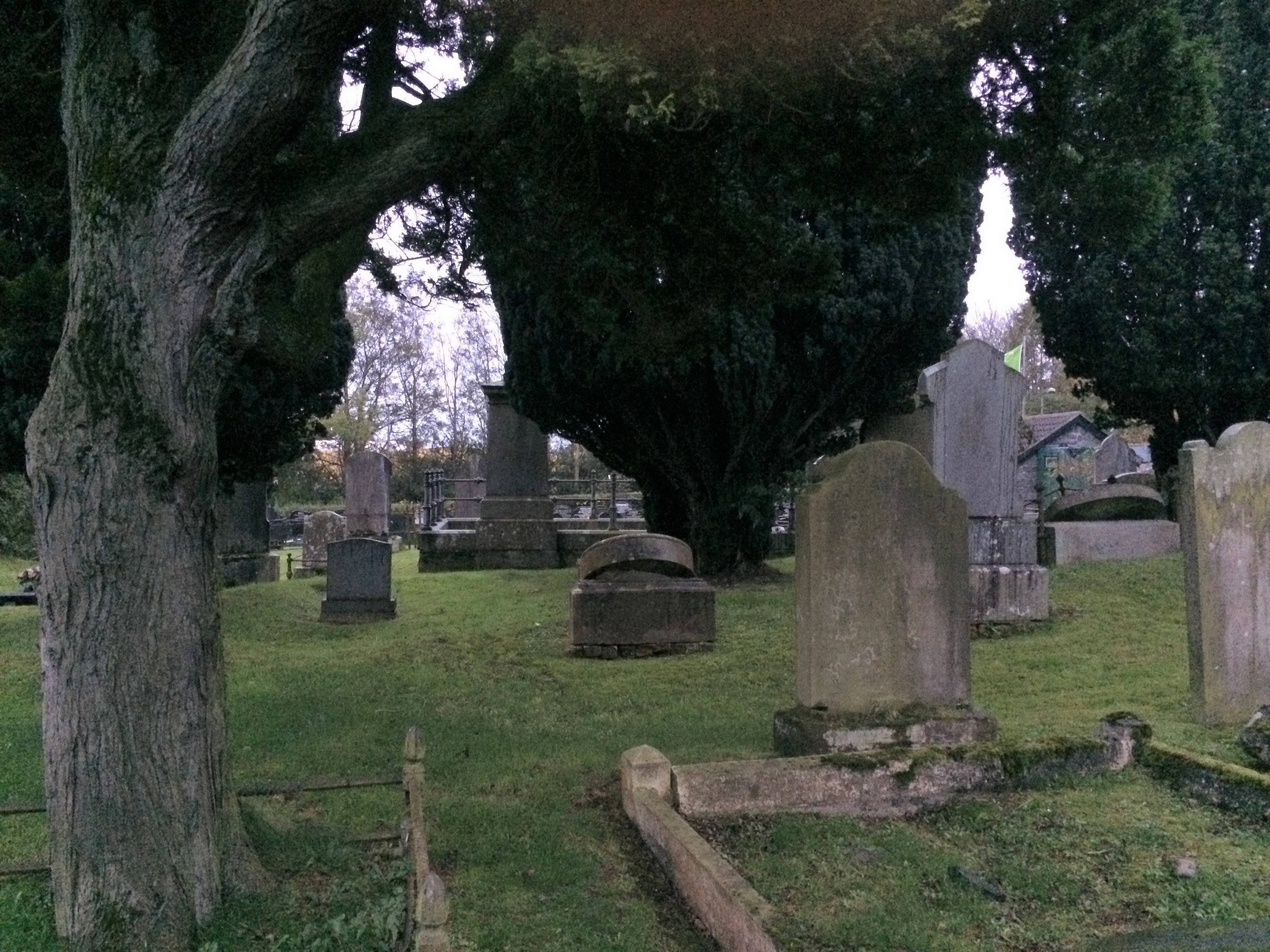 Murtough Mallusk 2 | DNAeXplained – Genetic Genealogy