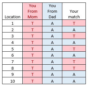 Concepts – Sibling and Twin DNA Matching | DNAeXplained – Genetic Genealogy