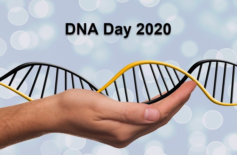 DNA Day 2020: 9 Great Ways to Celebrate an Amazing 20-Year Journey ...