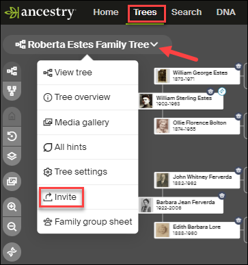 How to Share DNA Results and Tree Access at Ancestry | DNAeXplained ...