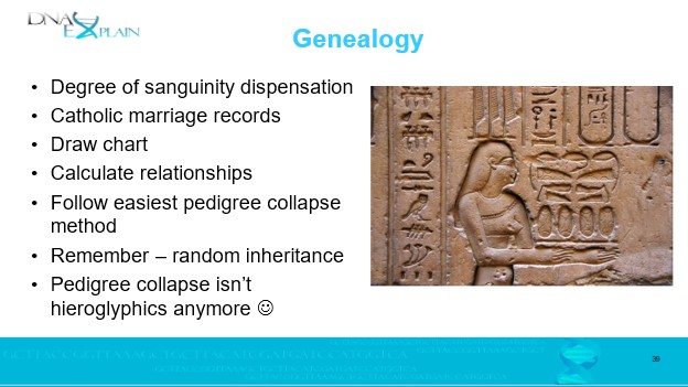 Pedigree Collapse and DNA – Plus an Easy-Peasy Shortcut | DNAeXplained ...