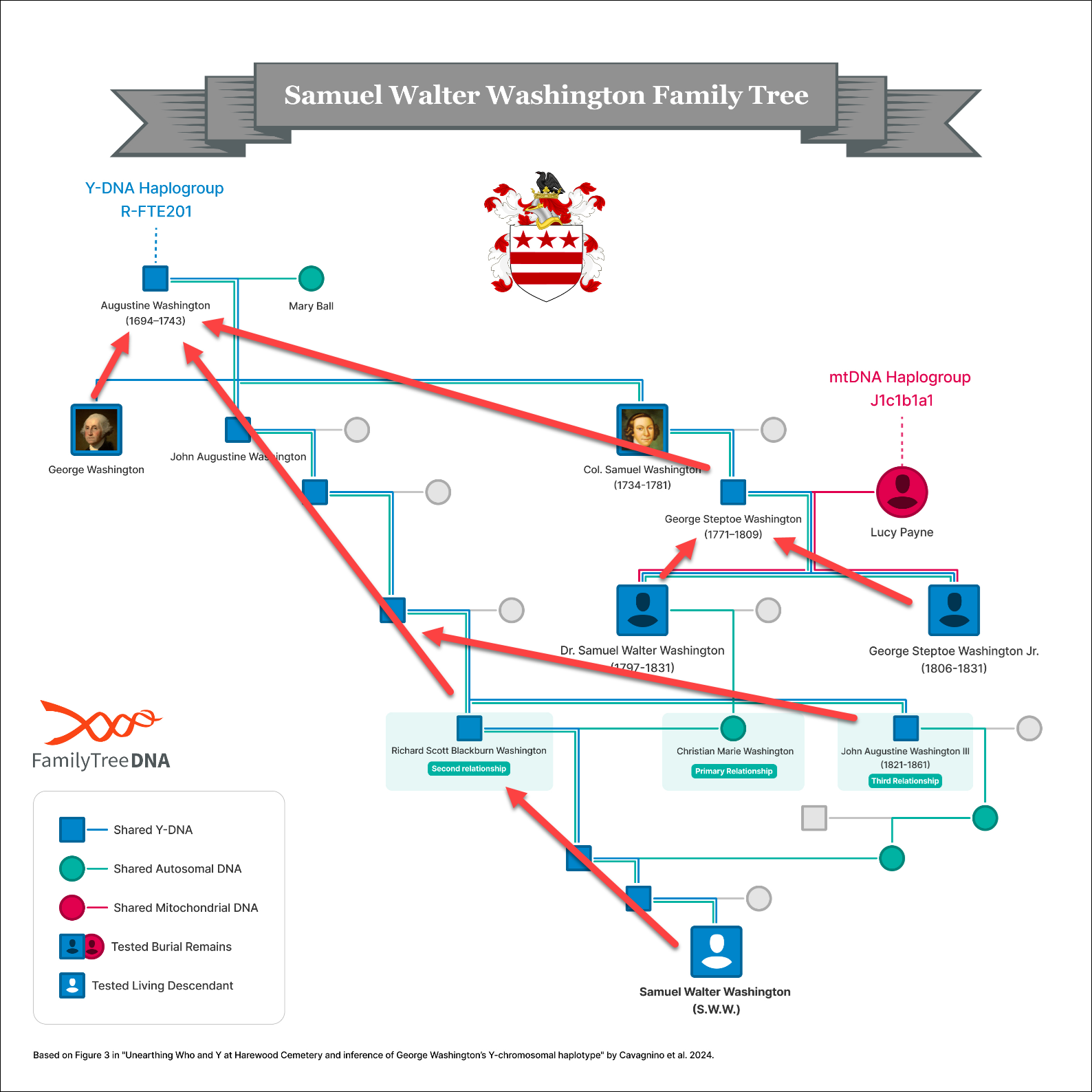 George Washington S Ancestor Chart