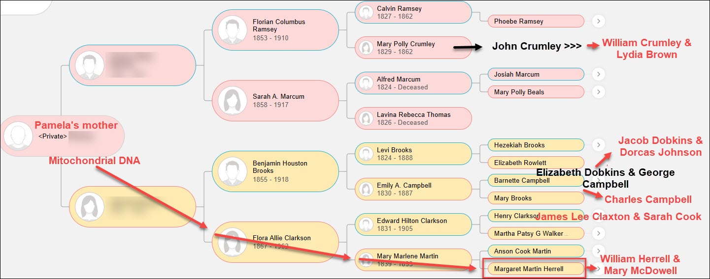 Cousin Finder – MyHeritage’s Innovative New Tool Finds Your Relatives ...